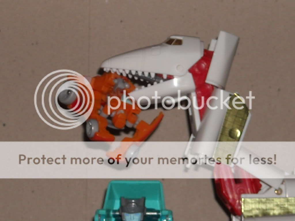 TfAnimatedfan's Collection | TFW2005 - The 2005 Boards