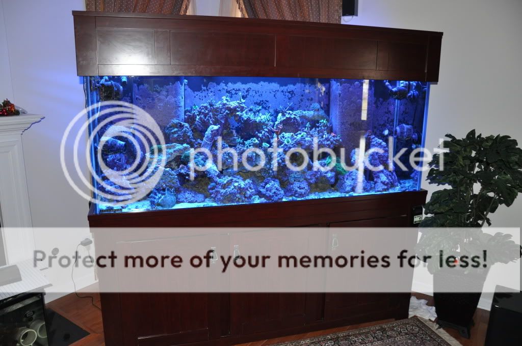 150 Gallon AGA Tank/Stand/Canopy for Sale - Monroe- NJ (08831) | Reef2Reef